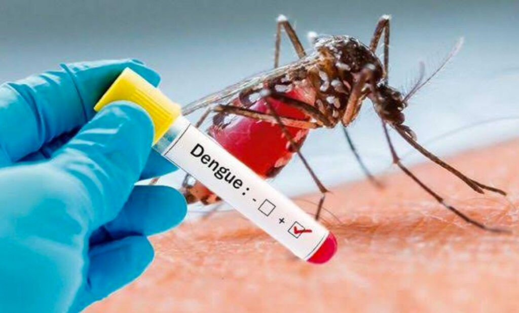 Jalisco reporta 23 casos de dengue y refuerza vigilancia por temporal ...